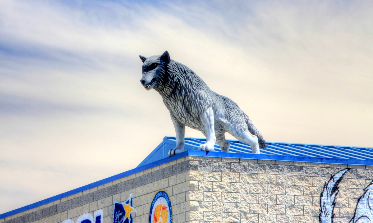 A Proud Timberwolf Stands Atop of Thompson Middle School - KNA ...